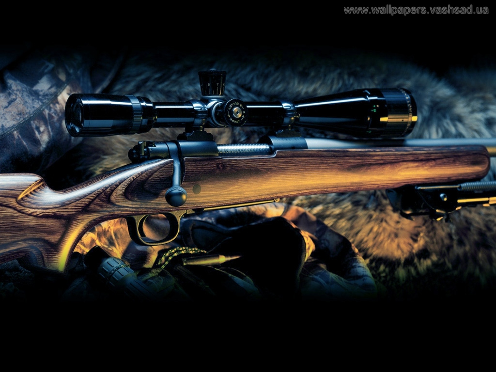 Zf Программа Диагностики - boutiquecleaning